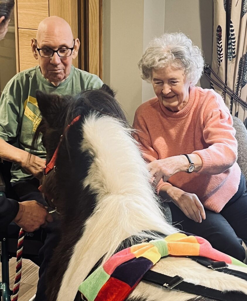 Animal Therapy with Pigmy Goats & Shetland Ponies - Woodlands